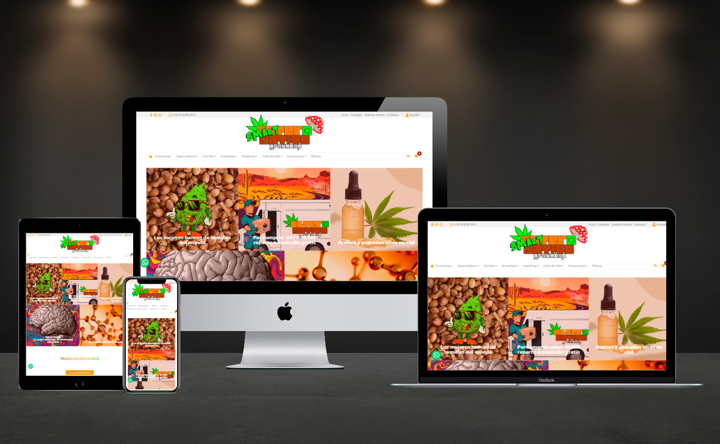 Proyectos archivo - Página 3 de 16 - Diseño Web Santa Cruz